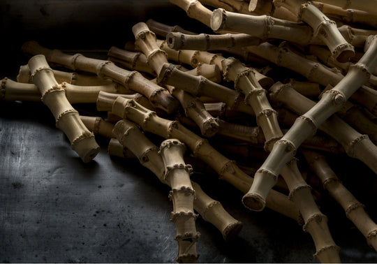 Brown Ebony Magnifying Glass by Lorenzi Milano | ABASK