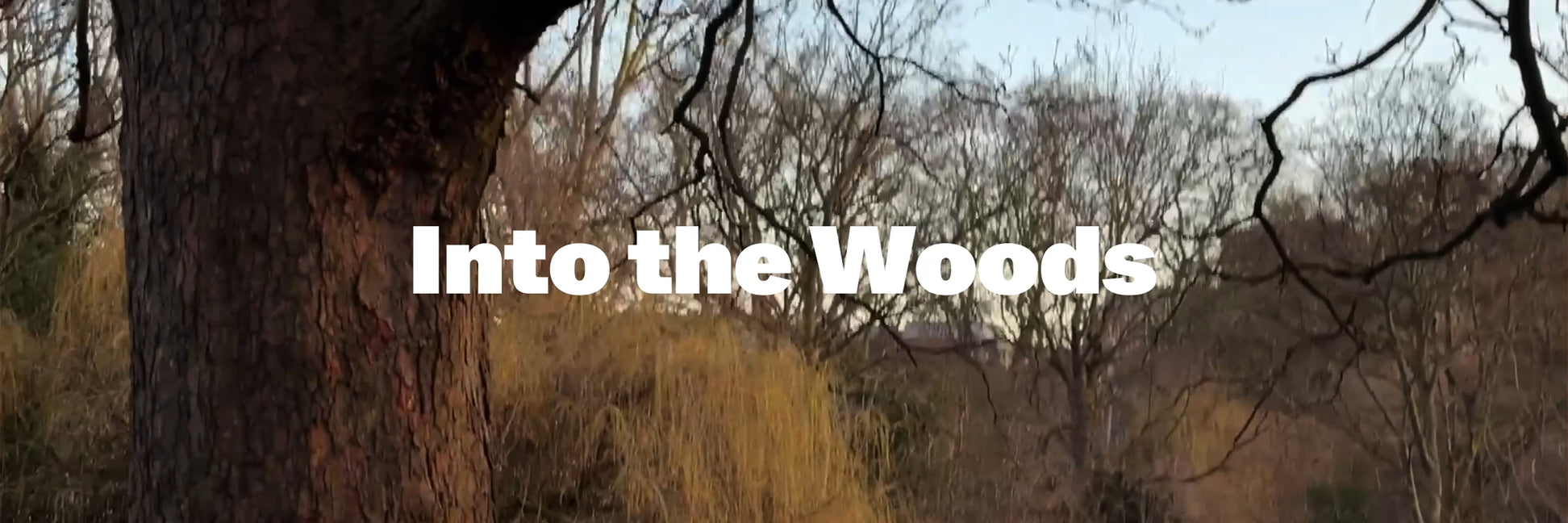 The World's Finest Home Design Objects | ABASK US