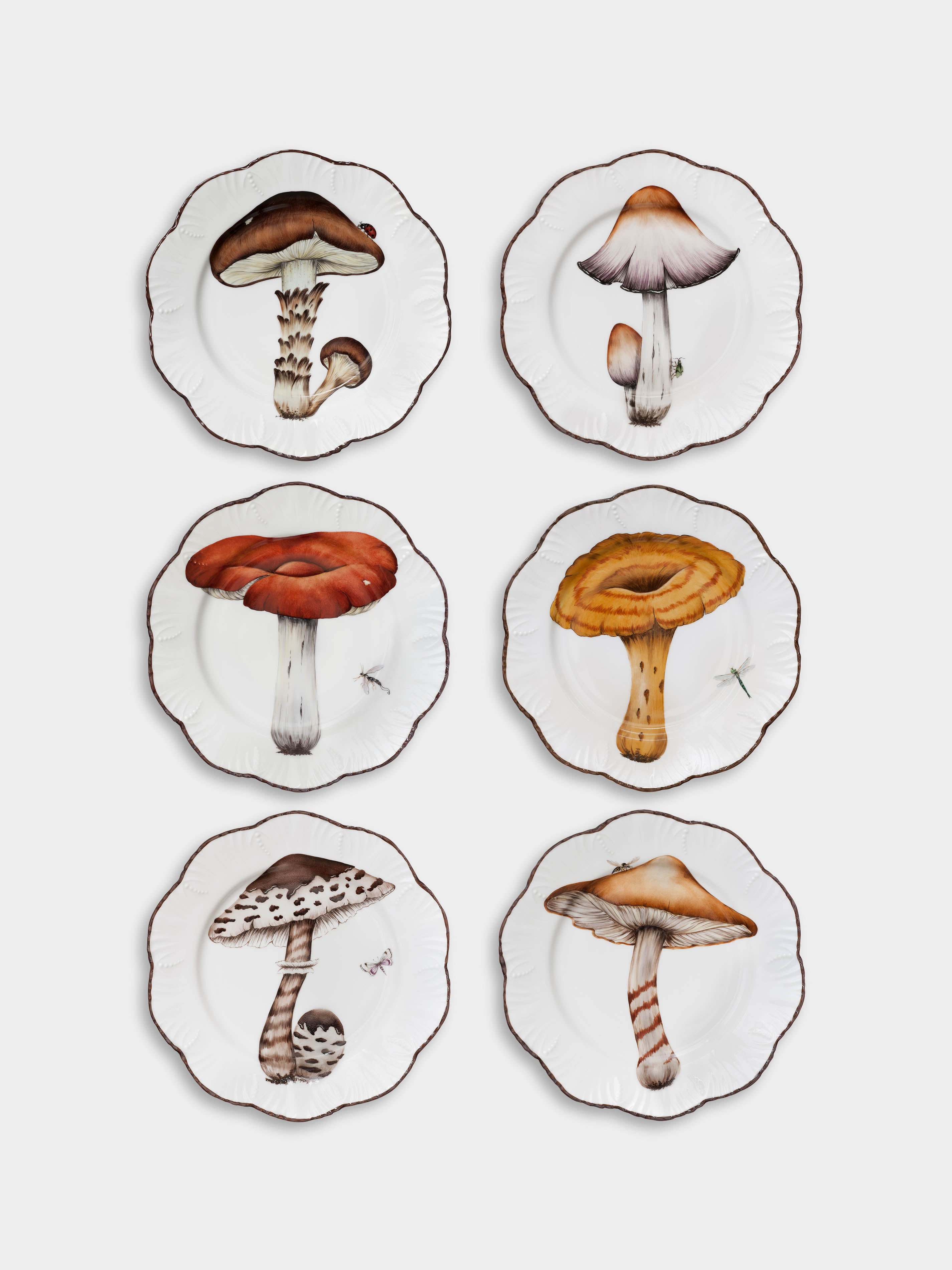 Brown Les Champignons Hand-Painted Porcelain Dinner Plates (Set of 6 ...