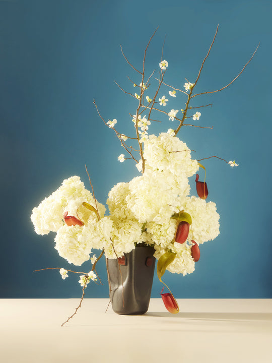 The World's Finest Home Design Objects | ABASK UK