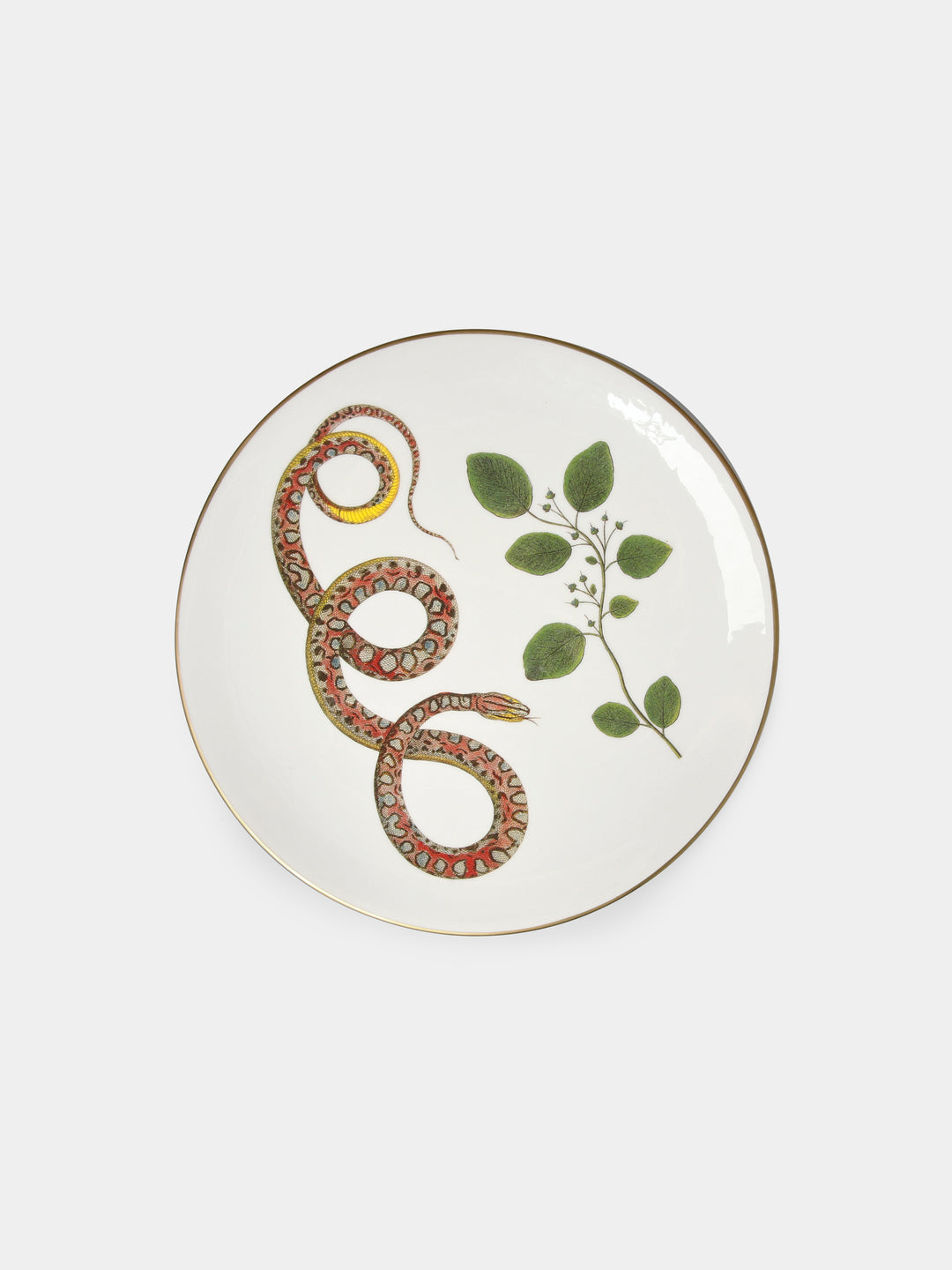 Multiple Serpi Ceramic Salad / Dessert Plates – 8in/20cm (Set of 6) by ...